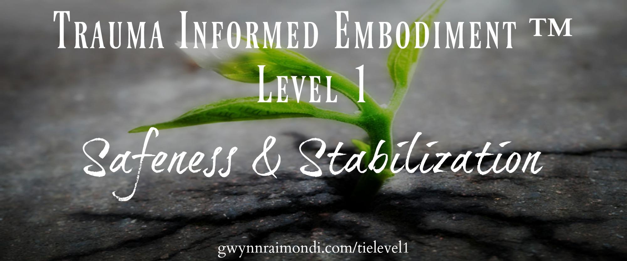 Trauma Informed Embodiment Level I