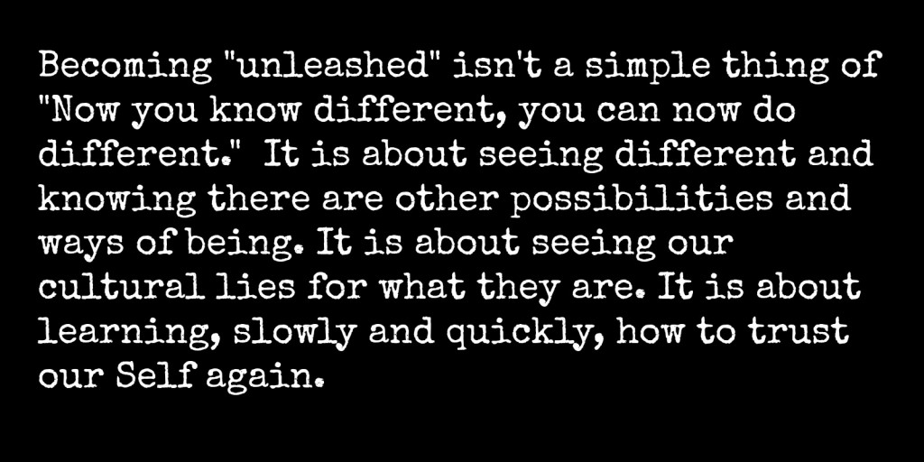 The process of becoming unleashed – Gwynn Raimondi, MA